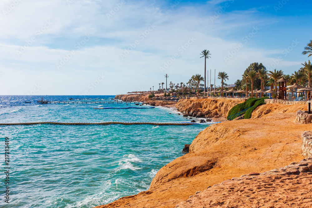 Sunny resort beach with palm tree at the coast shore of Red Sea in ...