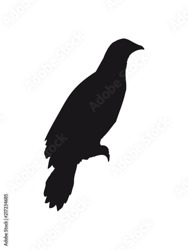 Taube Clipart Black And White