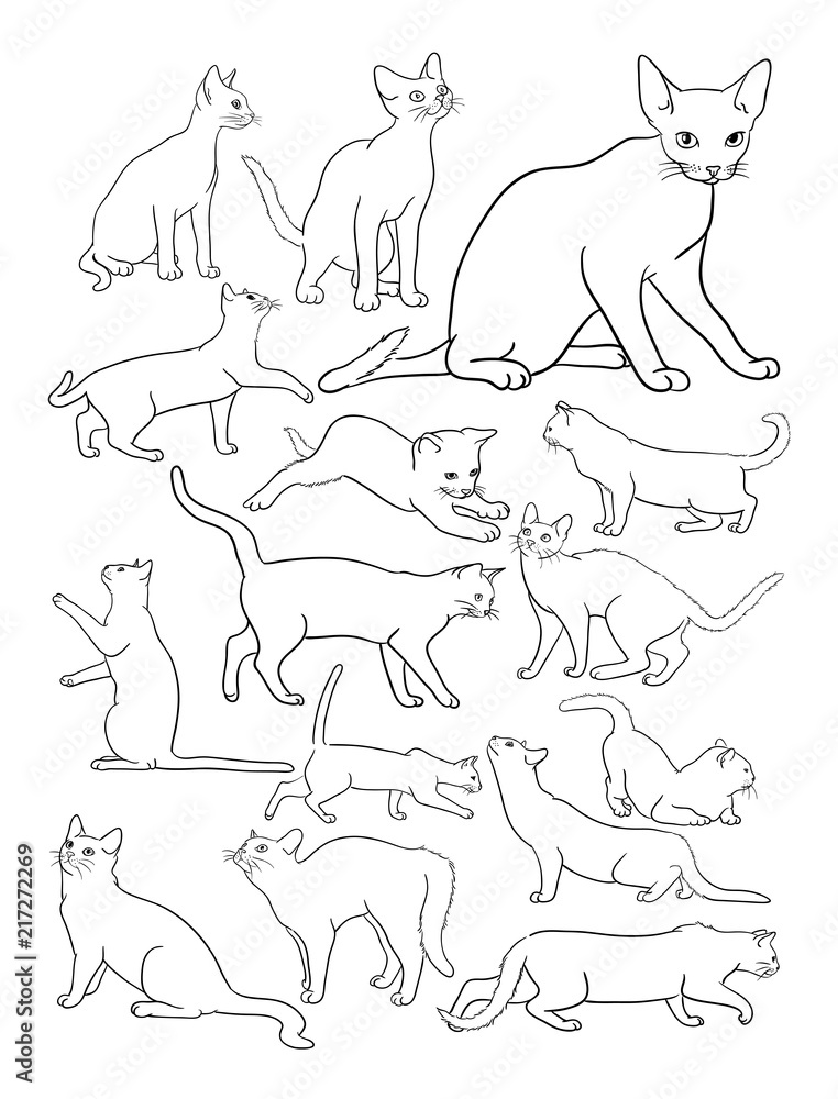 Cats line drawing. Vector, illustration. Good use for symbol, logo ...