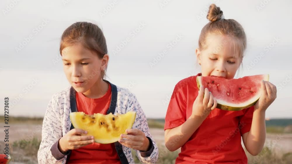 Two girls at sunset eat yellow and red watermelon. A beautiful little ...