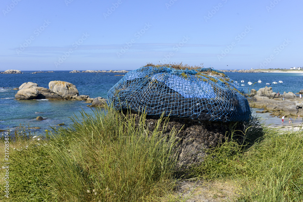 récolte du goémon, Site classé de Meneham, Kerlouen, 29, Finistère ...