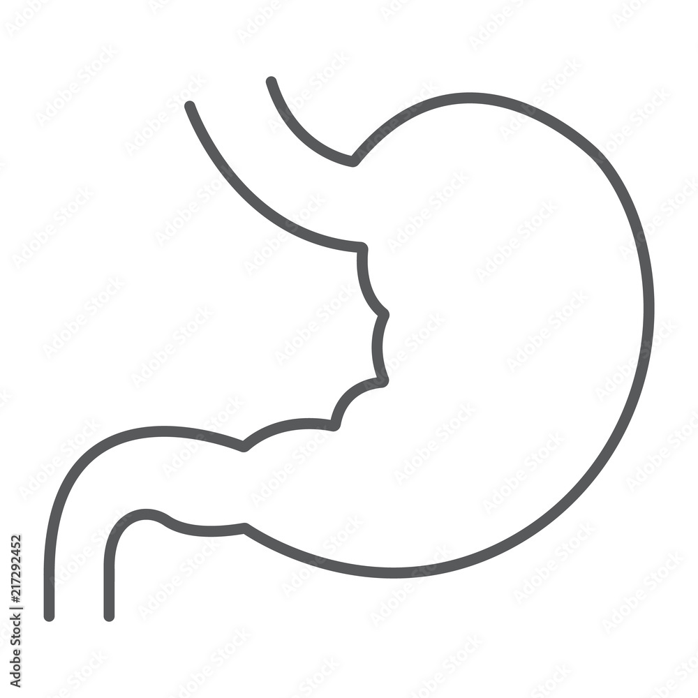 Stomach thin line icon, anatomy and biology, human organ sign, vector ...