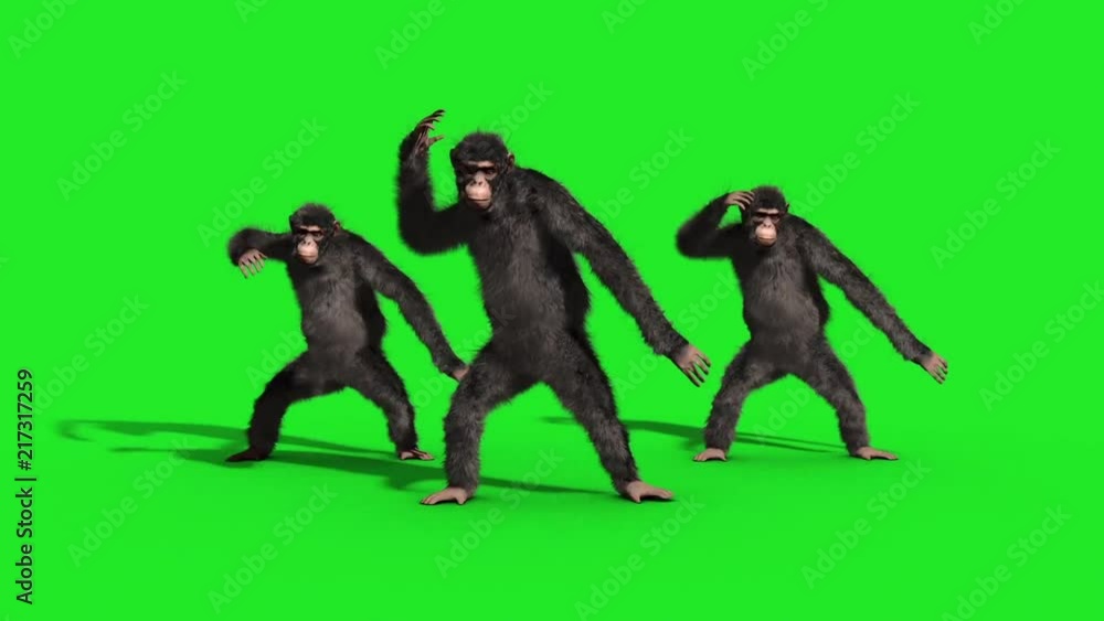 Group Chimpanzee House Dance Dancer Green Screen 3D Rendering Animation ...