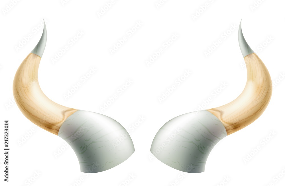 Two horns on a white background. Horns of an animal in a metal frame ...