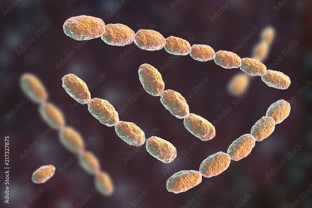 Haemophilus ducreyi bacteria, 3D illustration. Gram-negative ...