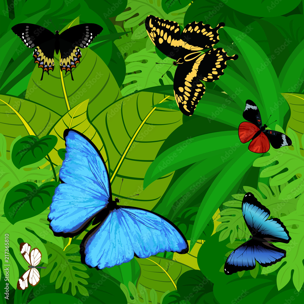 Jungle Butterflies
