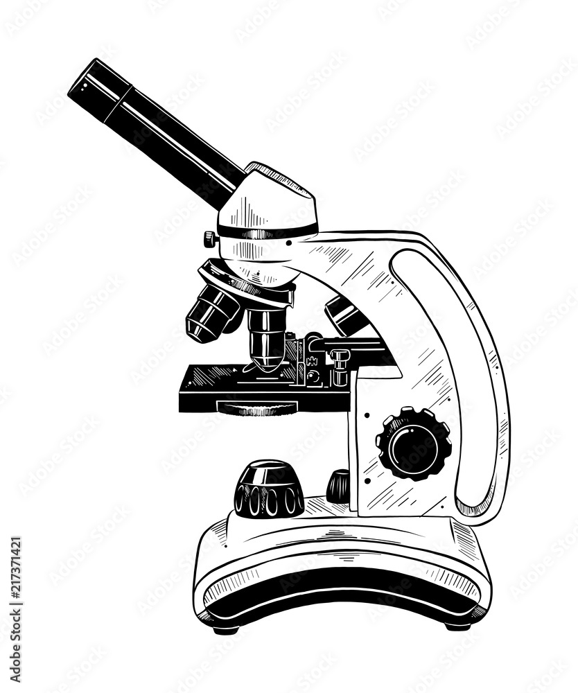 Vector engraved style illustration for posters, decoration and print ...