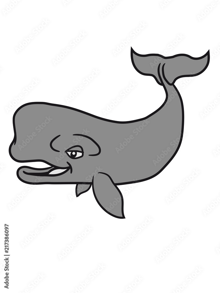 grauwal blauwal pottwal buckelwal wal meeressäuger groß riesig fisch ...