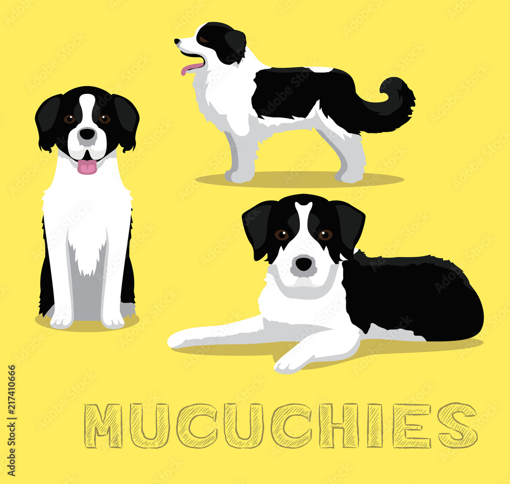 Dog Mucuchies Cartoon Vector Illustration Stock Vector | Adobe Stock