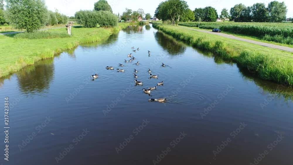 Low altitude bird view footage flight over small canal and over group ...