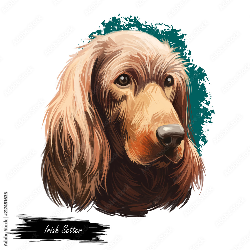 Irish Setter, Red Setter, Irish Red Setter dog digital art illustration ...