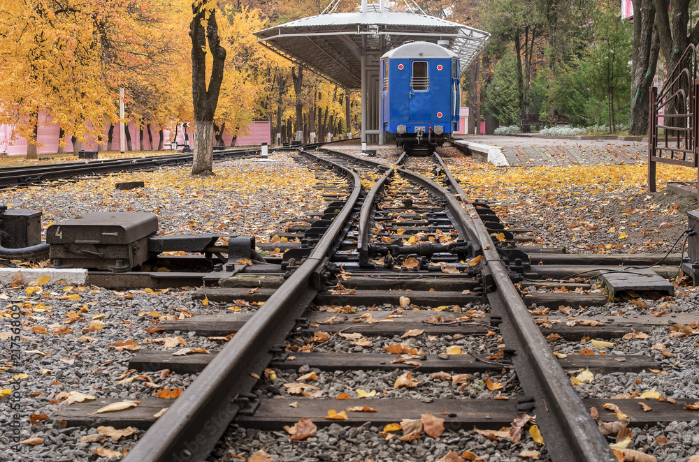 The passenger train at the platform, back view, last wagon; Autumn mood ...