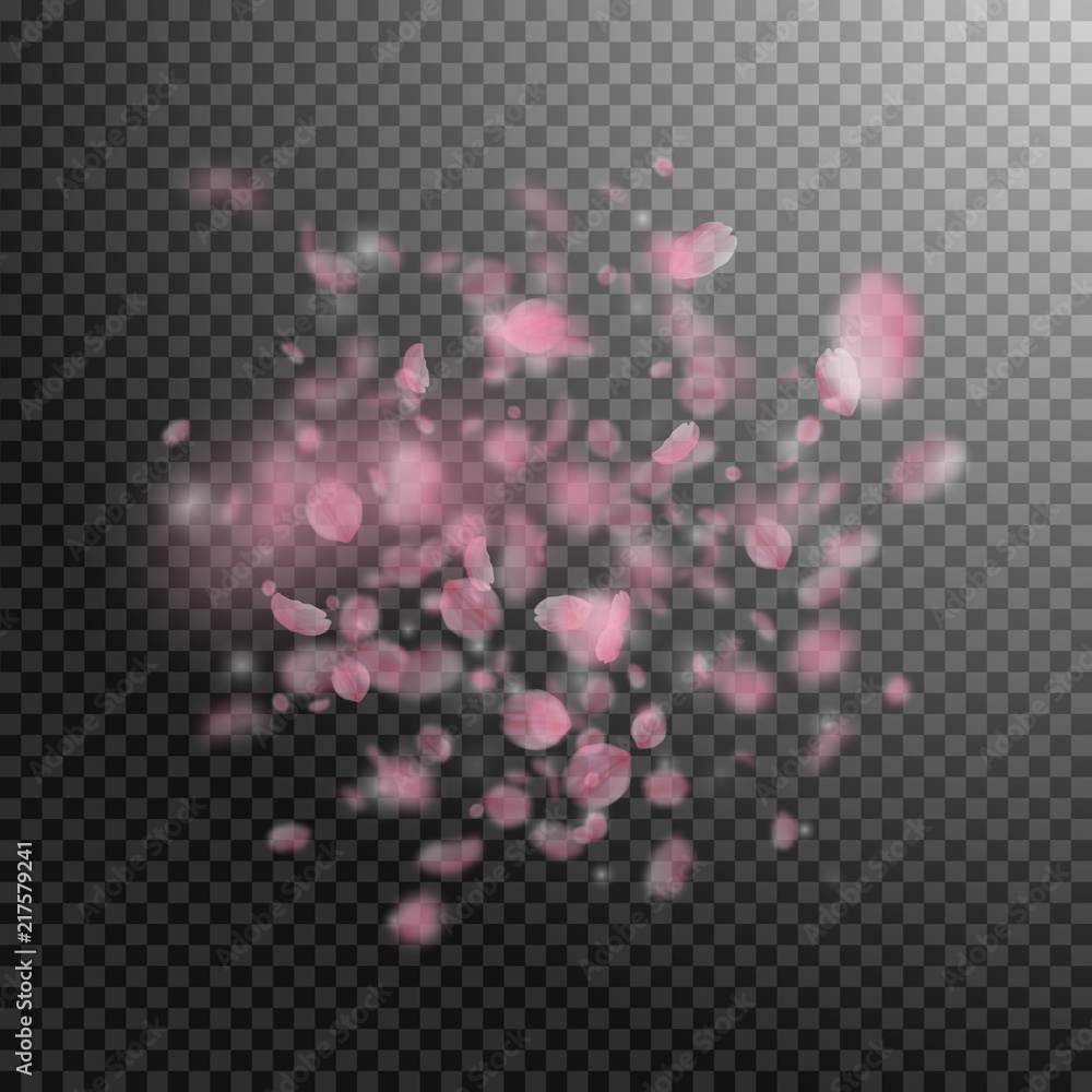 Sakura petals falling down. Romantic pink flowers explosion. Flying ...