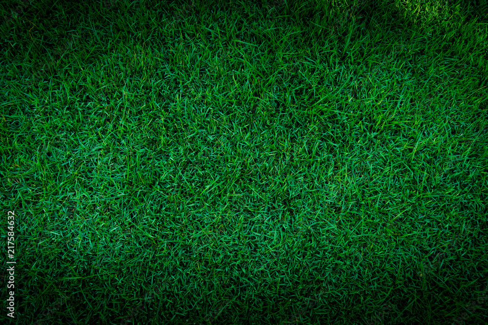 Football field green grass pattern texture background,Texture grass for ...