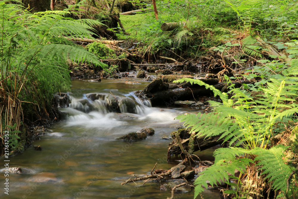 Himmelreich Stock Photo | Adobe Stock