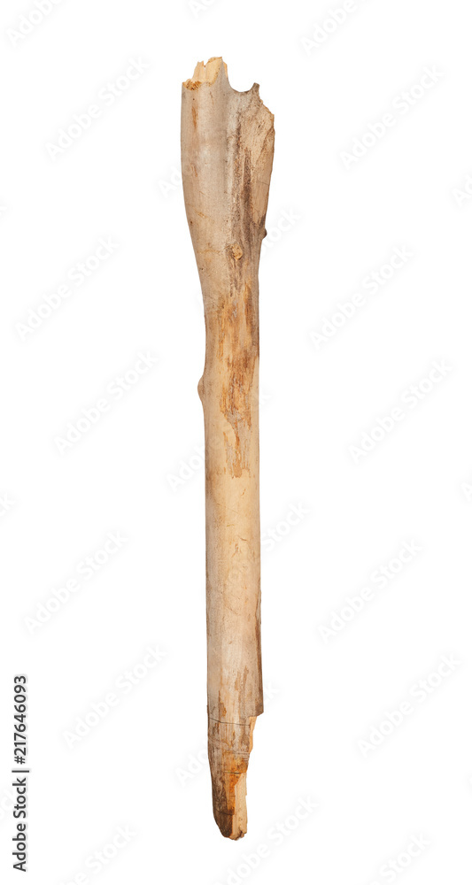 Broken Stick