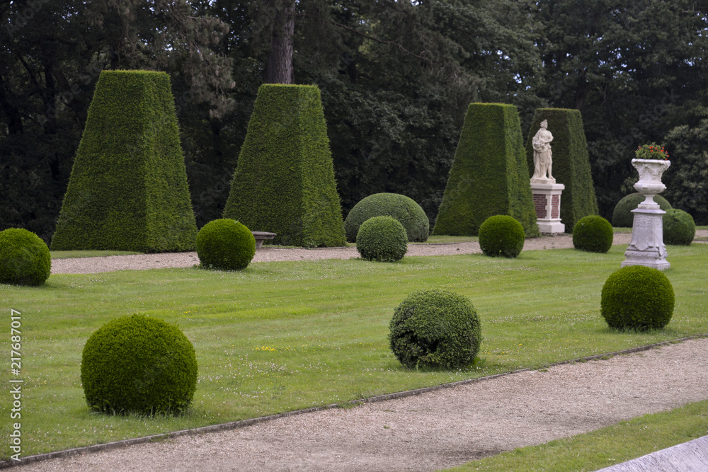Buis commun, Buxus sempervirens, If commun, Taxus baccata, Château de ...
