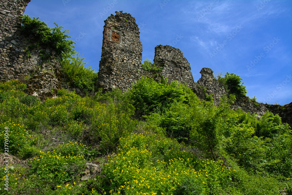 Ancient ruins of the castle of the town of Khust (Dracula Castle). a ...