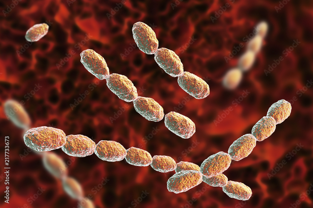 Haemophilus ducreyi bacteria, 3D illustration. Gram-negative ...