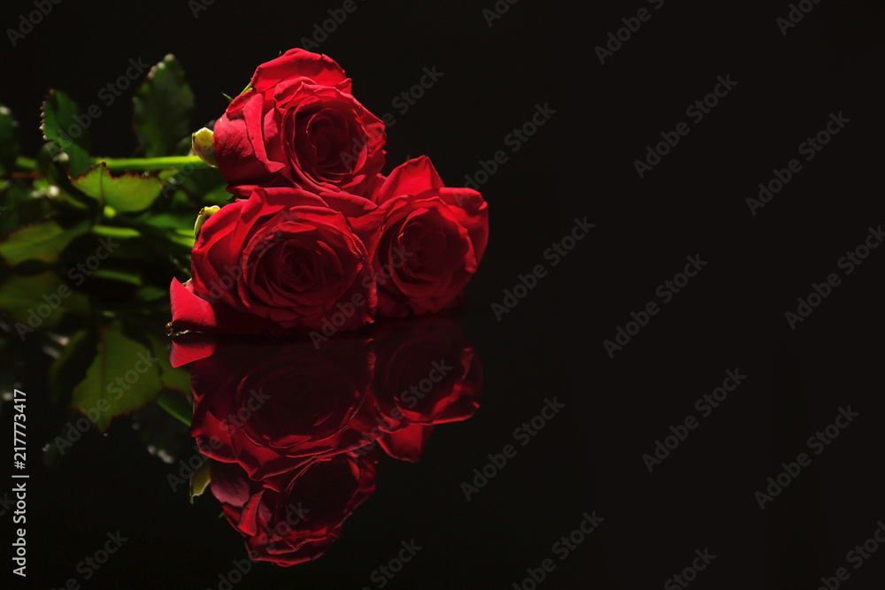 Beautiful red roses on black background. Funeral symbol Stock Photo ...
