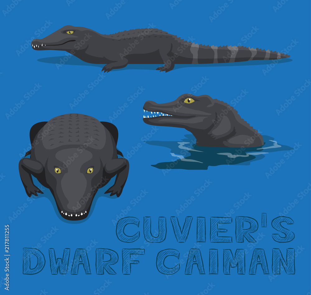 Cuvier's Dwarf Caiman Cartoon Vector Illustration Stock-Vektorgrafik ...
