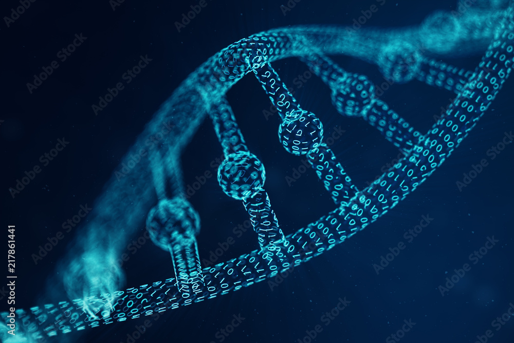 Binary Code Dna