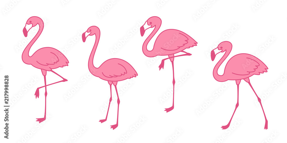 Pink Flamingos Cartoon