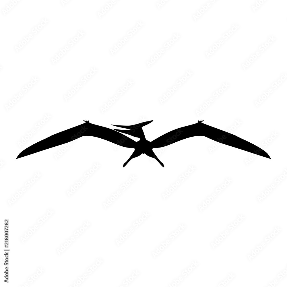 Pterodactyl icon, Vector drawing, Pteranodon bird Stock Vector | Adobe ...