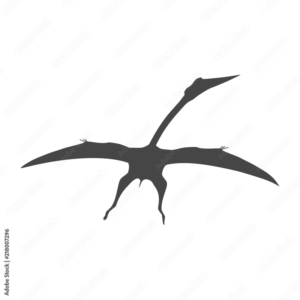 Pterodactyl icon, Vector drawing, Pteranodon bird Stock Vector | Adobe ...