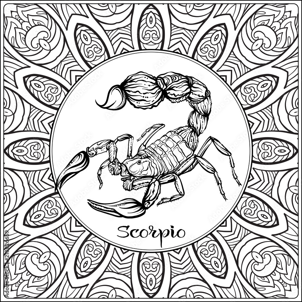 Scorpio. Decorative zodiac sign on pattern background. Outline hand ...