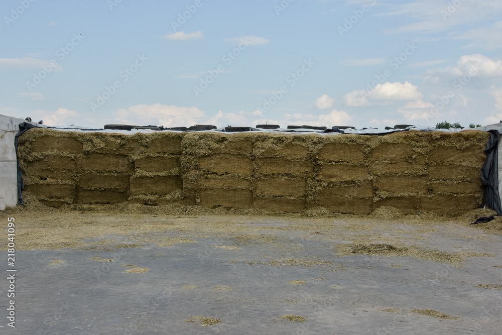 Storage silos in a trench silo. Farmin and agricultural. Stock Photo ...