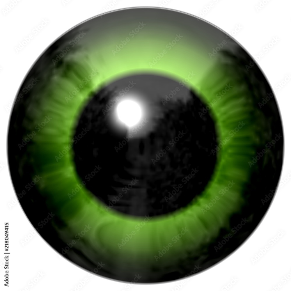 Animal eye texture with green color, black fringe and white background ...