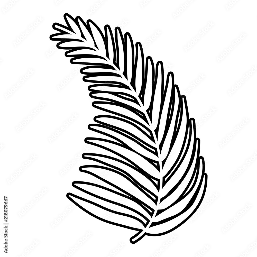 Palm Branch Outline