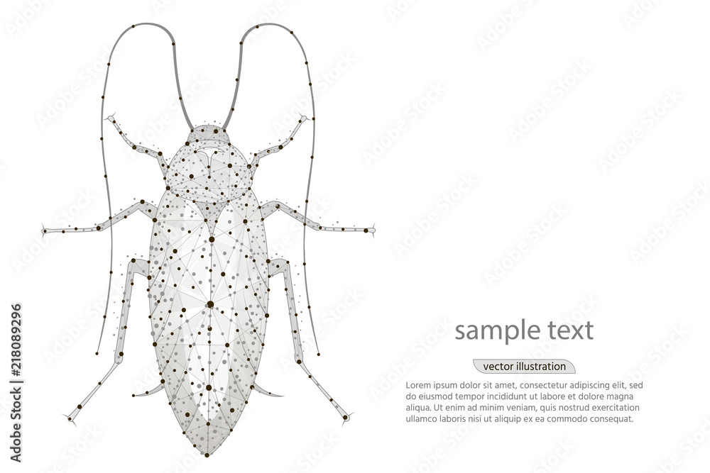 Cockroach on white background. Insects symbol stock vector illustration ...