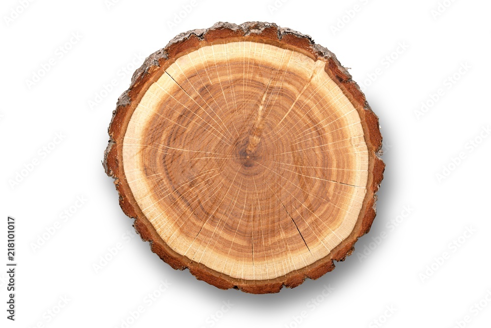 Log Cross Section Stock Photo | Adobe Stock