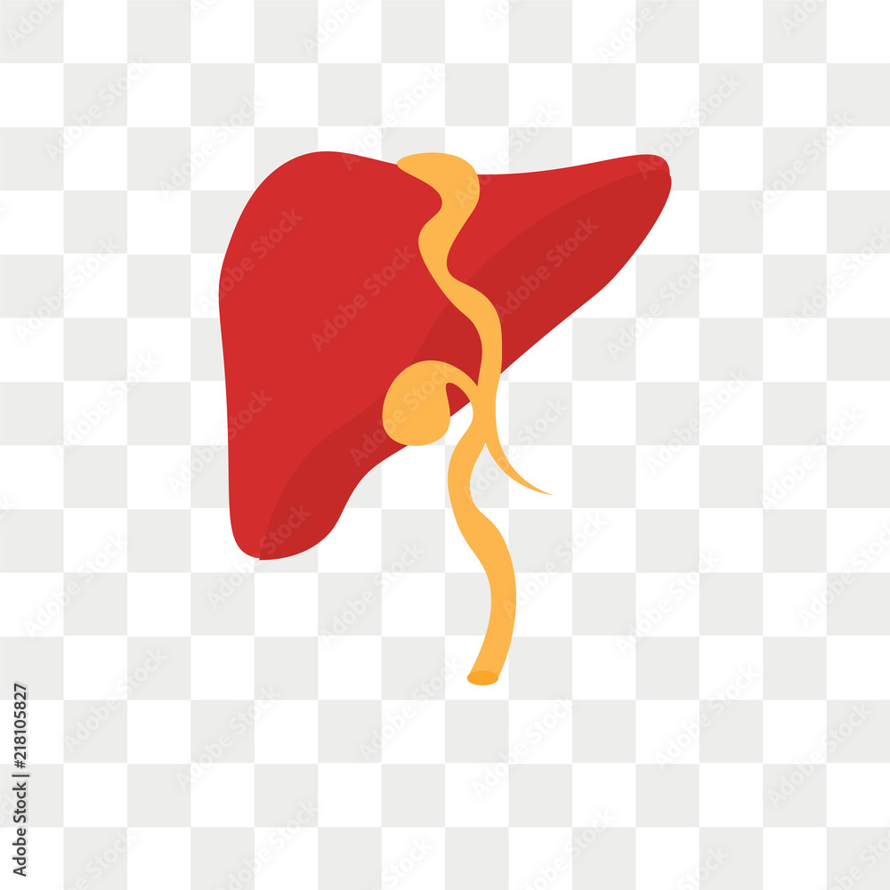 Liver vector icon isolated on transparent background, Liver logo design ...