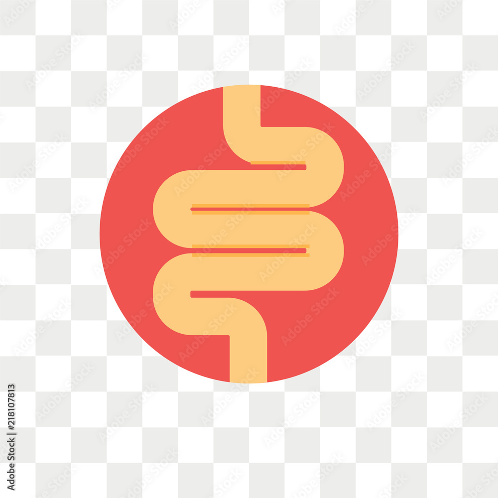 Intestines vector icon isolated on transparent background, Intestines ...