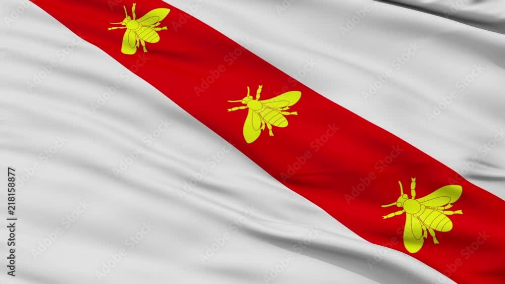 Bandiera Elba Flag, Closeup View Realistic Animation Seamless Loop - 10 ...