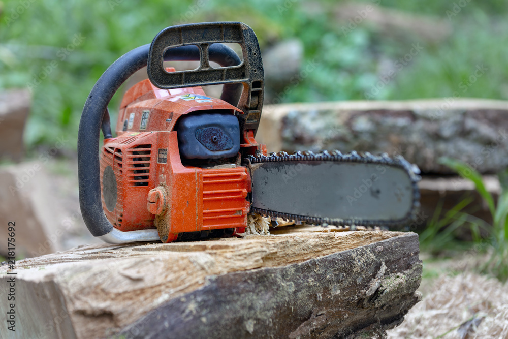 Professional chainsaw on a sawn tree in the forest Stock Photo | Adobe ...