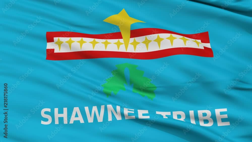 The Shawnee Tribe Of Oklahoma Indian Flag, Closeup View Realistic ...