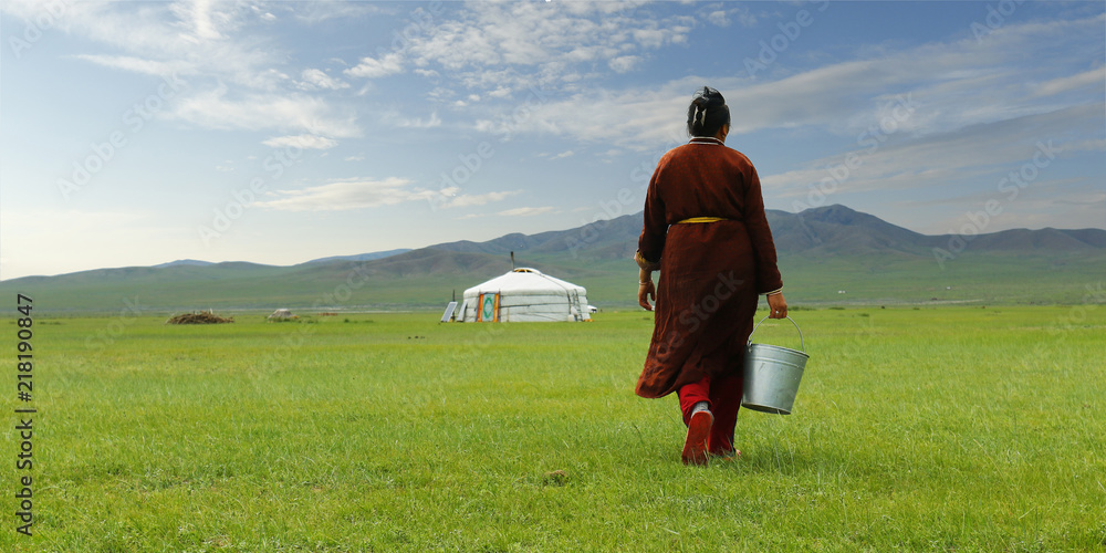 Mongolian farmer carrying bucket of milk after milking cow in the ...