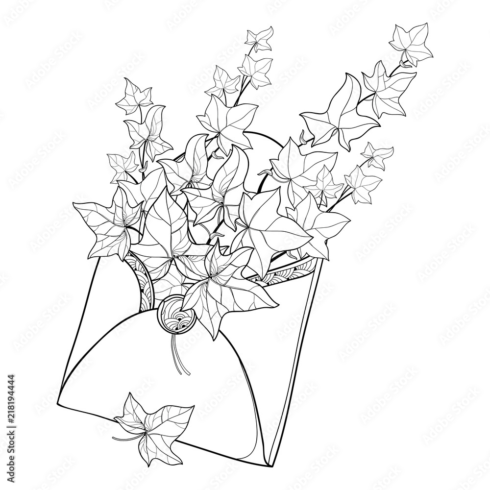 Vector bunch of outline Ivy or Hedera vines in open craft envelope ...