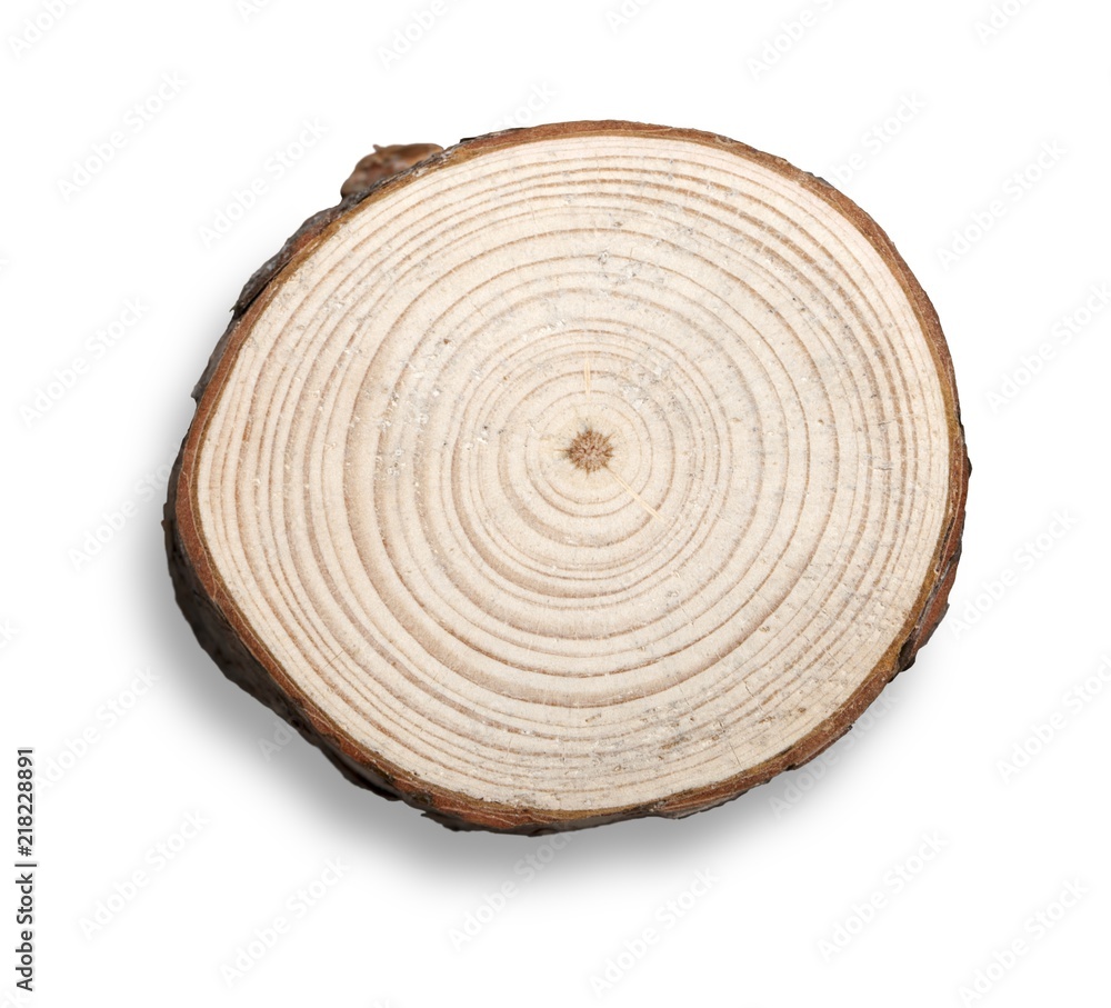 Log Cross Section Stock Photo | Adobe Stock