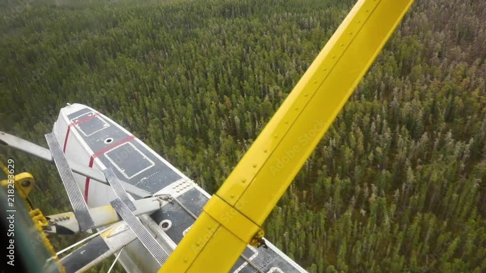 Flying low over the forest in a De Havilland Beaver Stock Video | Adobe ...