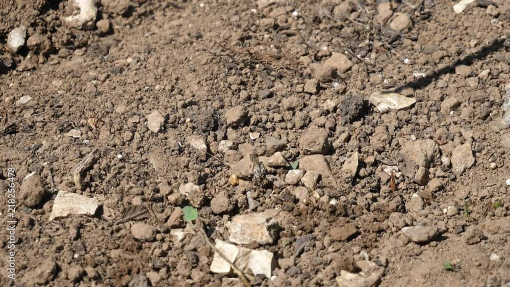 Close up shot of dry rough ground as a sword pierces the ground and ...