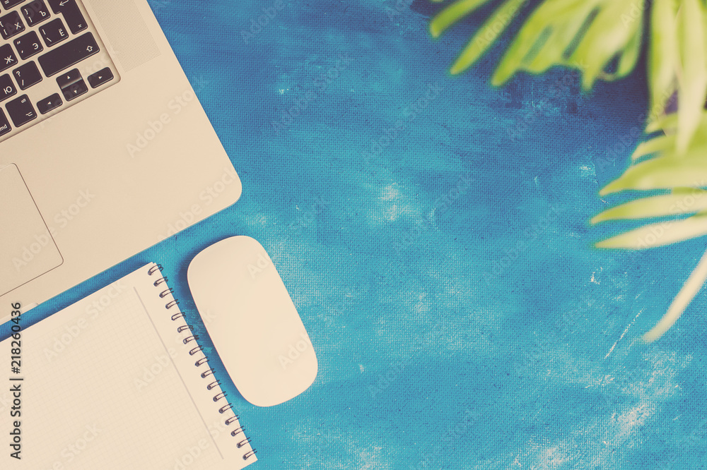 laptop, top view background, flower leaves in pot, cactus, on blue ...