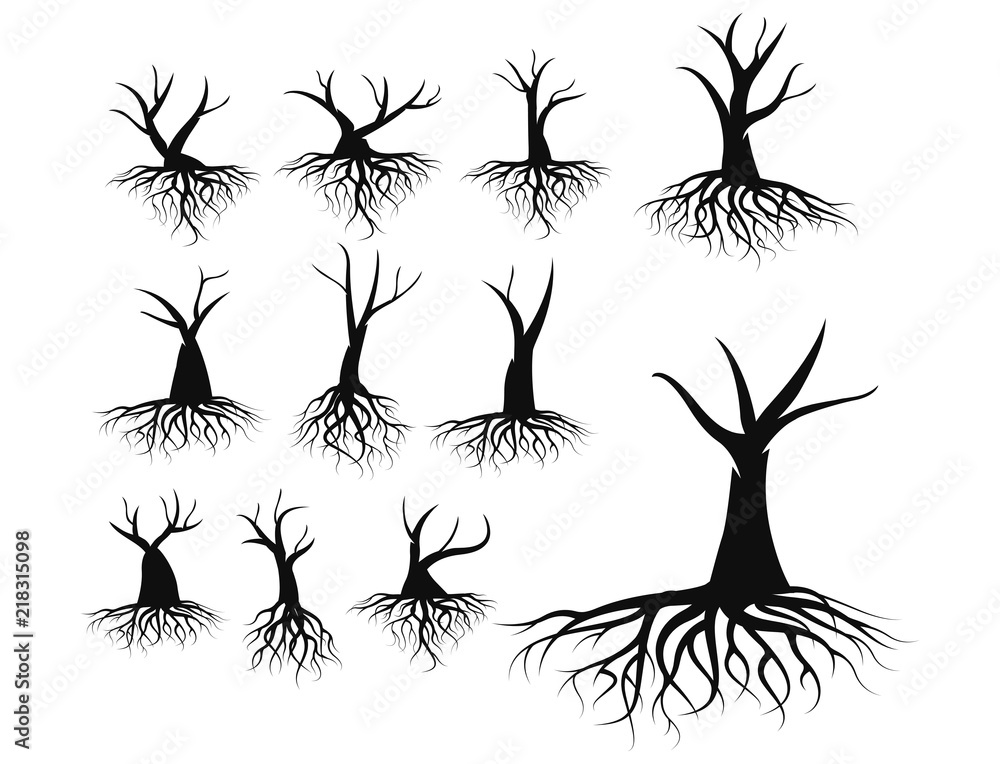Vector illustration : Tree Roots in white background Stock Vector ...