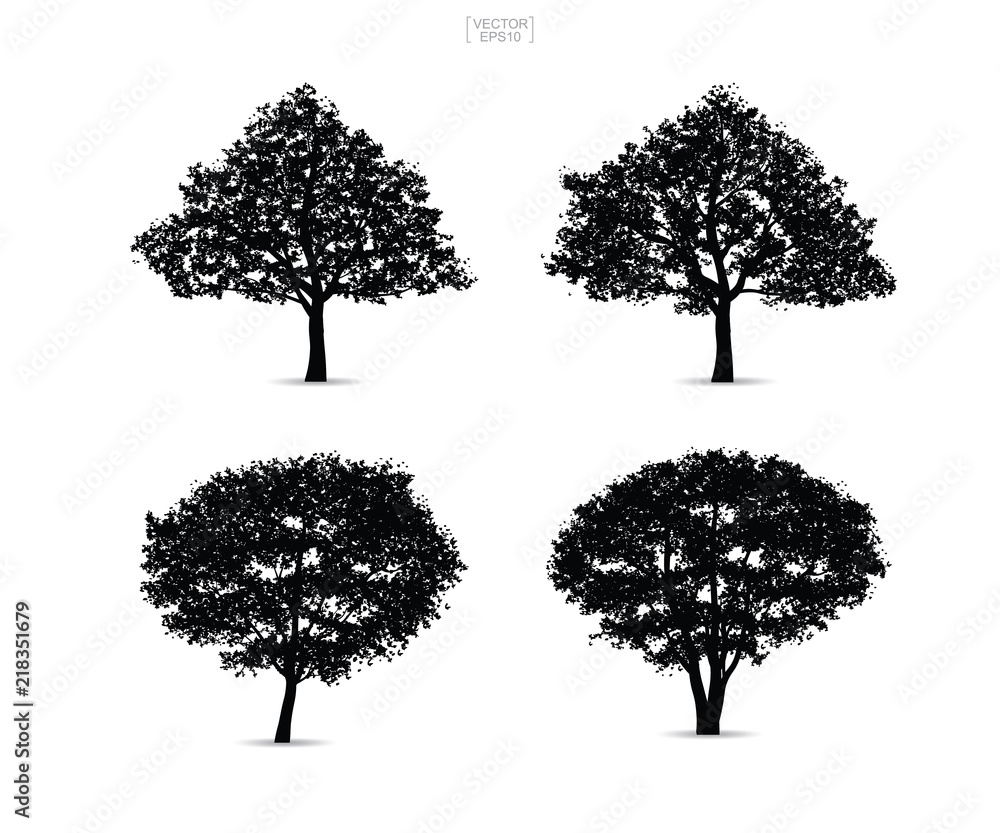 Set of tree silhouettes isolated on white background for landscape ...