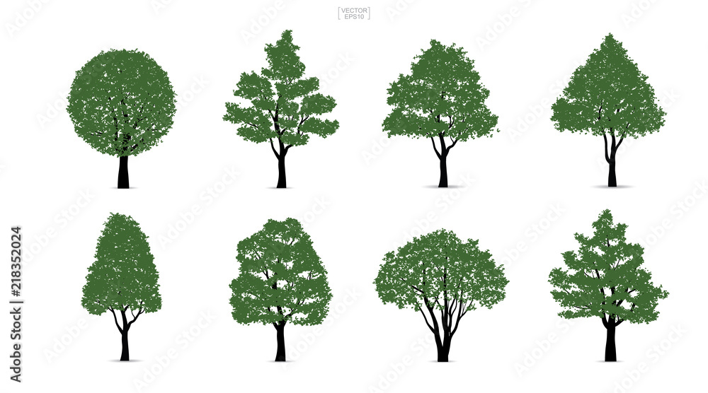 Set of green tree isolated on white background for landscape design and ...