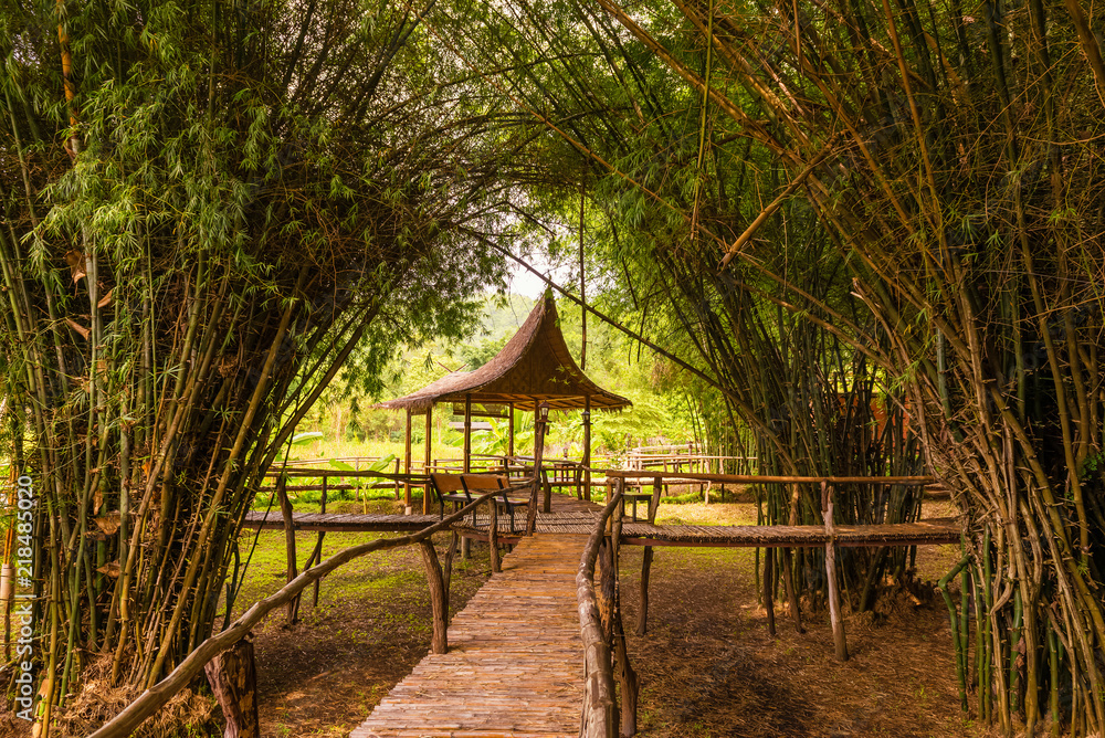 Bamboo hut and bamboo bridge with the glass green field and mountain ...